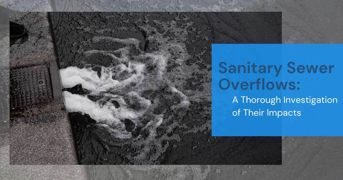 Sanitary Sewer Overflows: A Thorough Investigation of Their Impacts ...